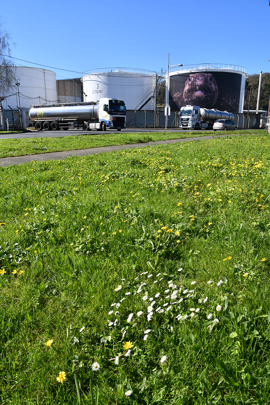 Our Terminals - ROUEN - TEPSA FRANCE